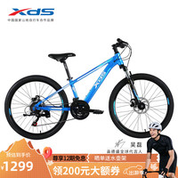 喜德盛RC500公路车：进阶型入门之选_普通自行车_什么值得买