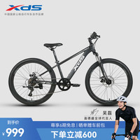 喜德盛RC500公路车：进阶型入门之选_普通自行车_什么值得买