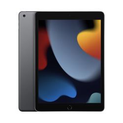 【省238.78元】苹果iPad_苹果 Apple iPad9 64G平板电脑10.2英寸多少钱-什么值得买