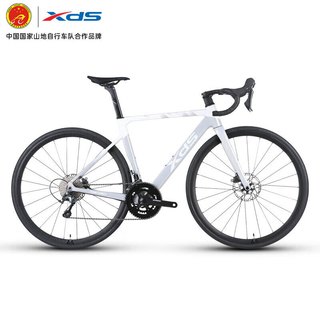 喜德盛（xds）rs450喜德盛rs450pro公路车喜德盛公路车公路自行车公路车自行车 RS450 铝轮版 环青海湖纪念版 700Cx540mm|身高185-195cm【报价 价格 评测 ...