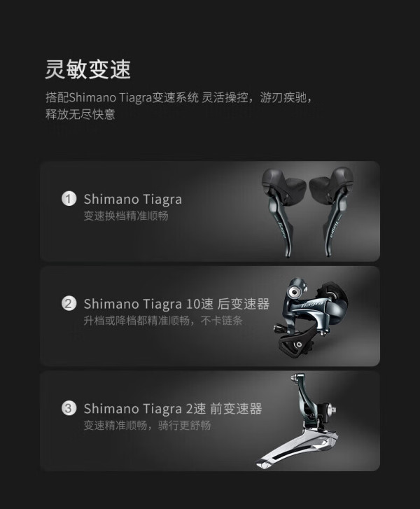 喜德盛（xds）rs450喜德盛rs450pro公路车喜德盛公路车公路自行车公路车自行车 RS450 铝轮版 环青海湖纪念版 ...