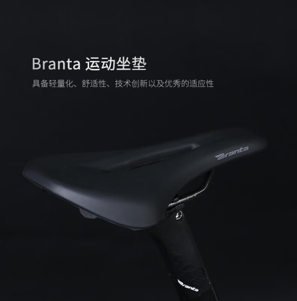 喜德盛（xds）rs450喜德盛rs450pro公路车喜德盛公路车公路自行车公路车自行车 RS450 铝轮版 环青海湖纪念版 ...