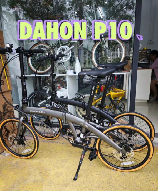 大行（DAHON）p10折叠自行车大行paa003折叠车超轻铝合金折叠车p10pro p10磨砂黑色+ 20英寸 x【报价 价格 评测 怎么样】 -什么值得买