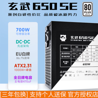 NKZK驿晨宇 玄武650SE额定功率650W峰值功率1000w80PLUS认证白牌电源日系主电容玄武650SE青春版破冰者 玄武650SE黑【送电源线+理线扎带】额定650W【报价 价格 ...