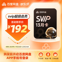 百度虚拟服务_百度 网盘 SVIP超级会员13个月多少钱-什么值得买
