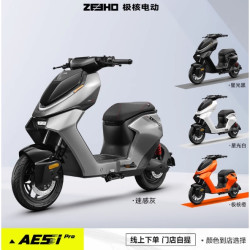 极核 ZEEHO AE5i Pro 新国标电动自行车多少钱-什么值得买