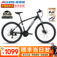 【省460元】喜德盛山地车_XDS 喜德盛 RT280 公路自行车 2024款多少钱-什么值得买