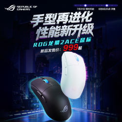 玩家国度鼠标_玩家国度 ROG 龙鳞2ACE无线鼠标无线8K回报率48g轻量化设计多少钱-什么值得买