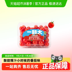 【省36.34元】一颗大蔬菜_一颗大 樱桃番茄 458g*4盒多少钱-什么值得买