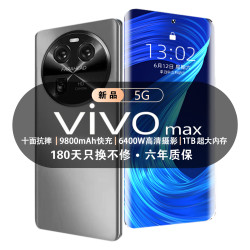 【省300元】vivomax手机_vivomax 手机1TB超大内存9800mAh快充长续航骁龙888学生电竞老人AI智能拍照多少钱-什么值得买