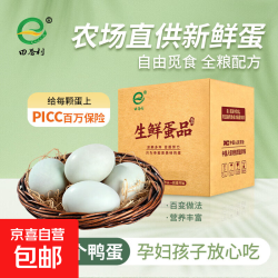 京喜蛋类_京喜 10枚生鸭蛋新鲜 新鲜土鸭蛋60g-70g/枚多少钱-什么值得买